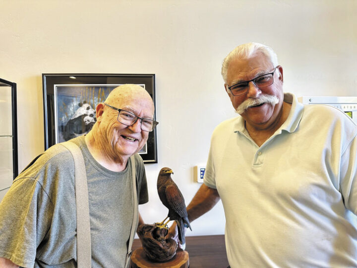 Woodcarvers Club Harris Hawk Raffle Winner – PebbleCreek Post